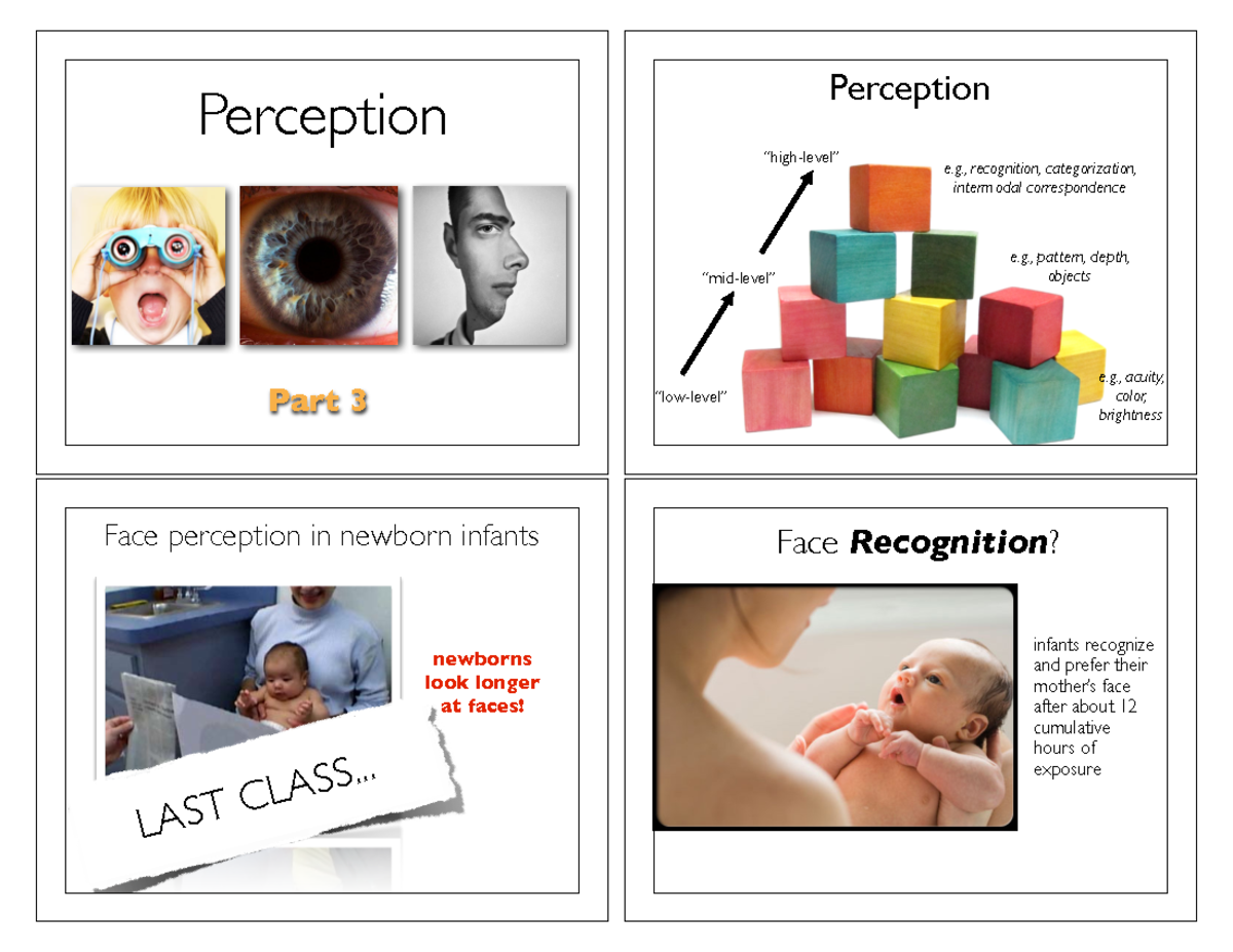 Perception part 3 slides - Perception Part 3 Perception “low-level ...
