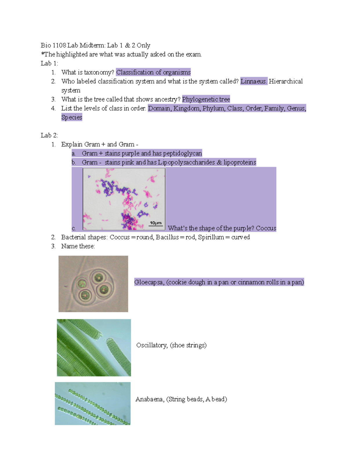 Bio 1108 Lab Midterm All questions - Bio 1108 Lab Midterm: Lab 1 & 2 ...