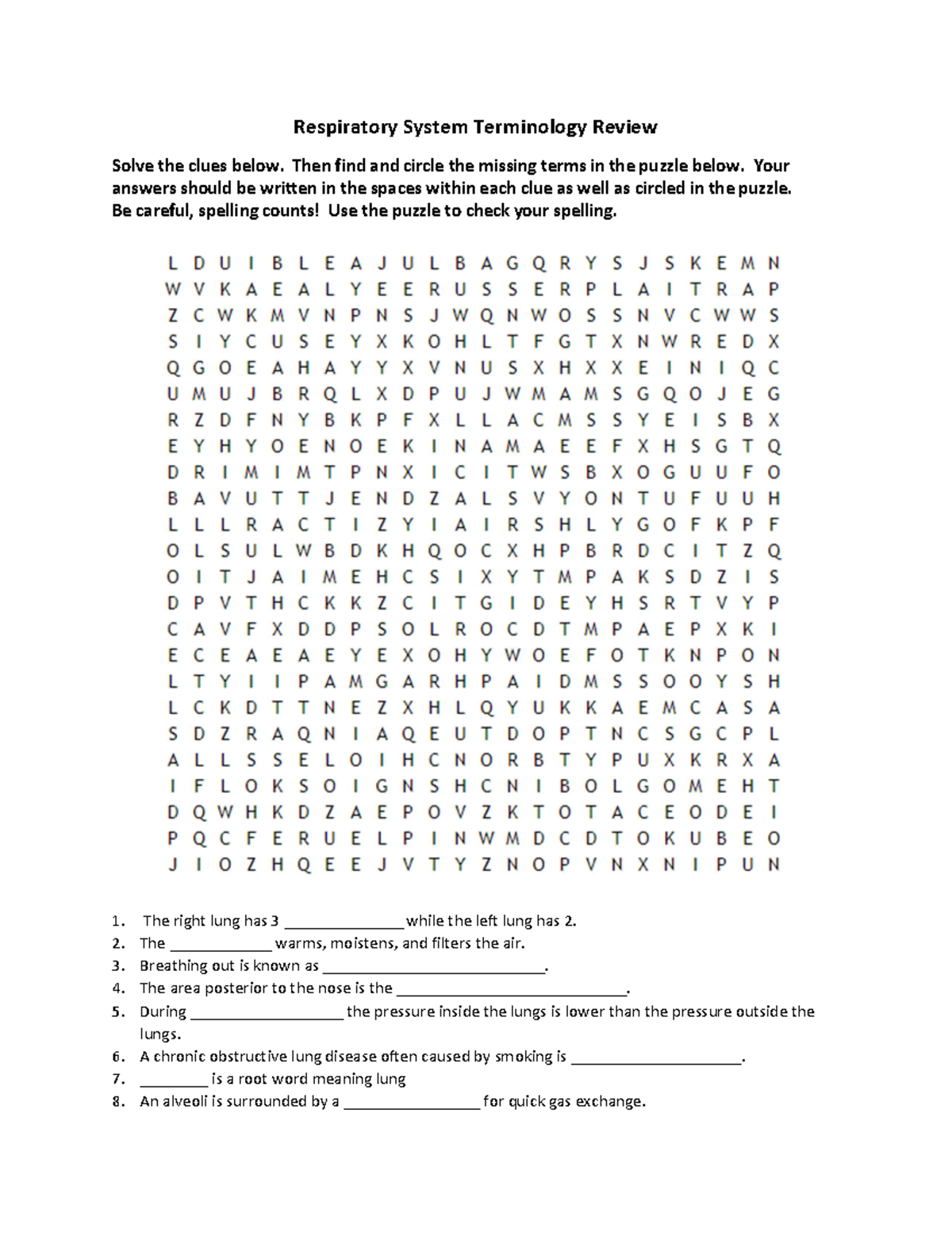Respiratory Word Search - Respiratory System Terminology Review Solve ...