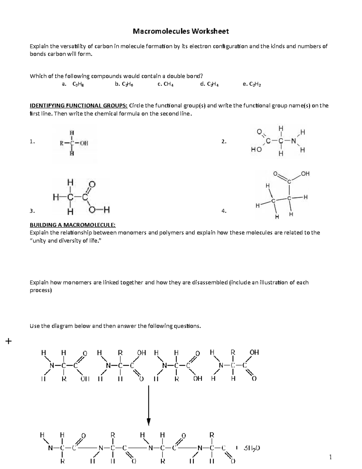 Macromolecules Worksheet - Macromolecules Worksheet Explain the ...