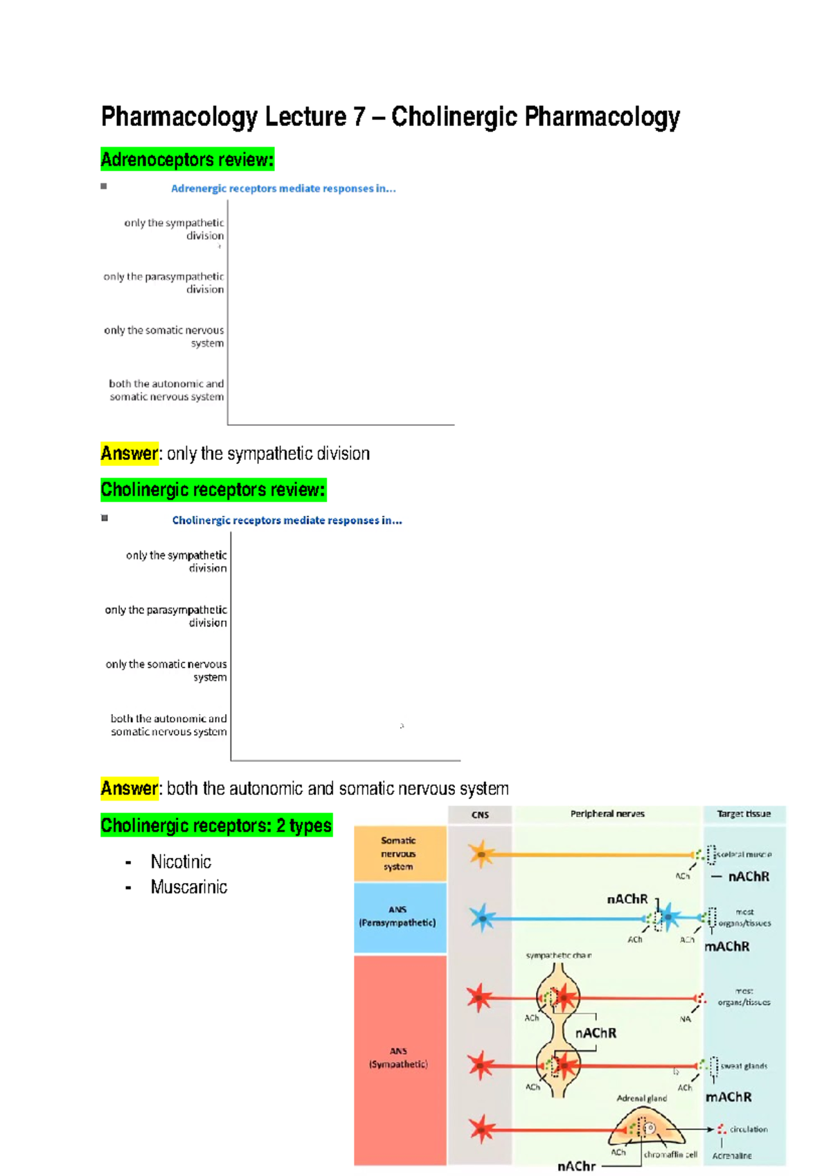 Pharmacology Lecture 7 - Hemicholinium need to know in too much detail ...
