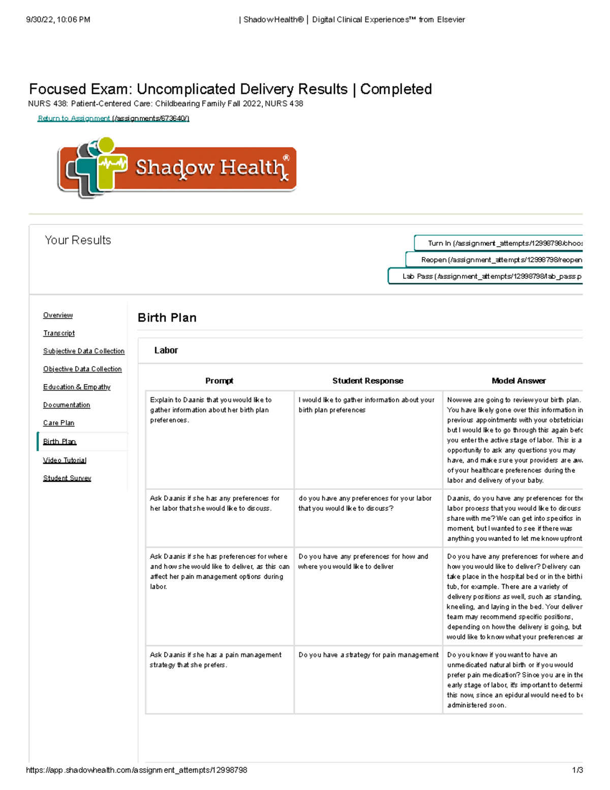 Shadow Health Uncomplicated Delivery Daanis Lafontaine Birth Plan - 9 ...