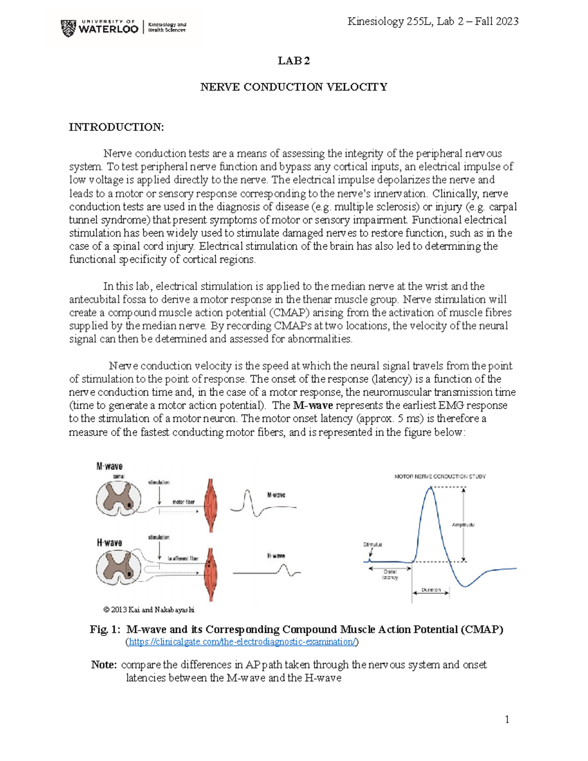 LAB 2 Nerve Conduction Velocity F '23 - Kinesiology 255L, Lab 2 – Fall ...