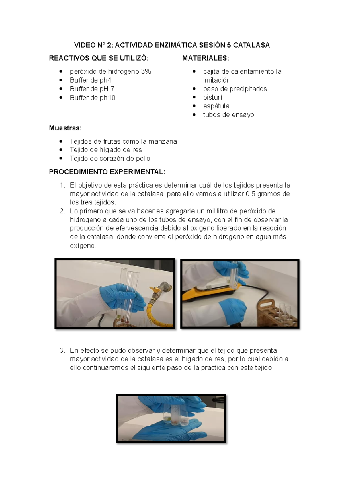 Catalasa - VIDEO N° 2: ACTIVIDAD ENZIMÁTICA SESIÓN 5 CATALASA REACTIVOS ...