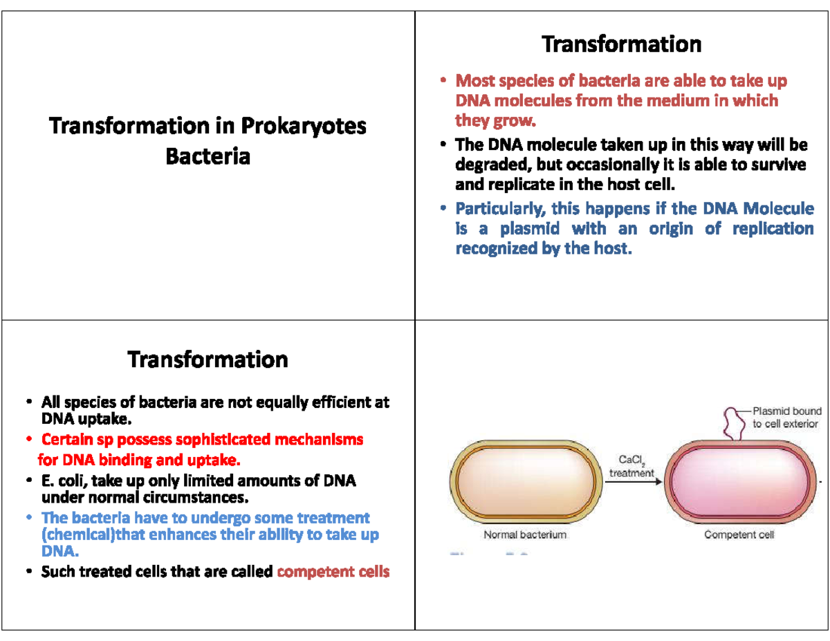 1. Transformation in bacteria cell and prokaryotes - molecular biology ...