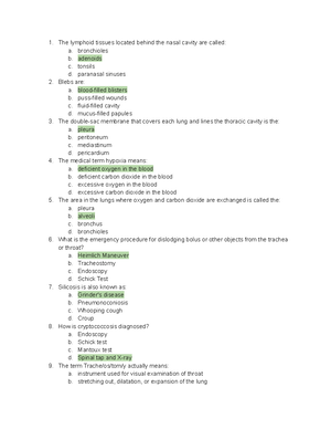 Musculoskeletal Self Test Answers - The word part Mento- means: a. chin ...