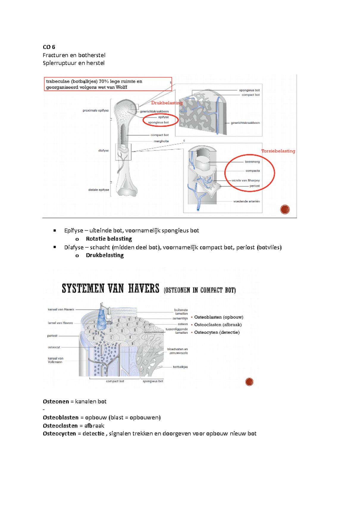 CO 6 - fracturen, botherstel - CO 6 Fracturen en botherstel ...