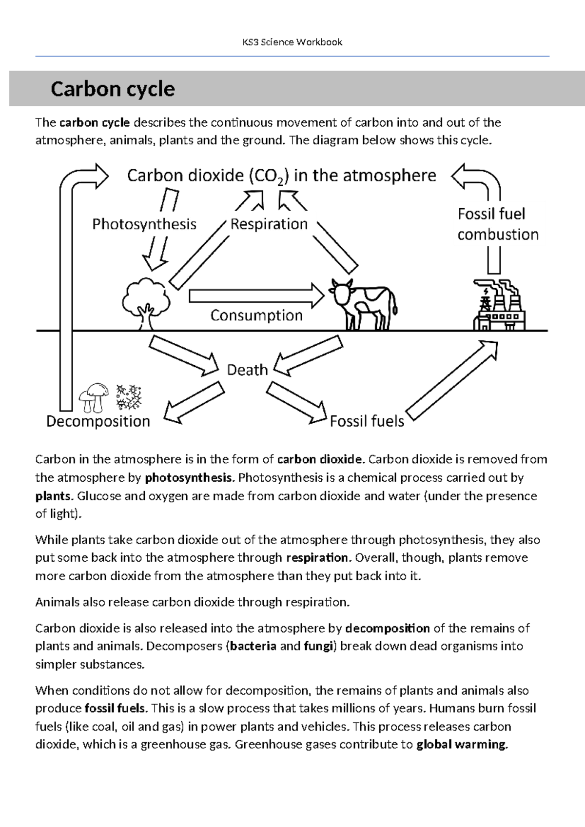 Y9- Assessment point 2- Chemistry Physics Revision WS - The carbon ...