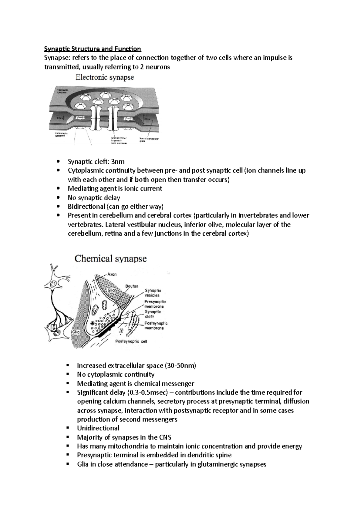 Synaptic Structure And Function Synaptic Structure And Function