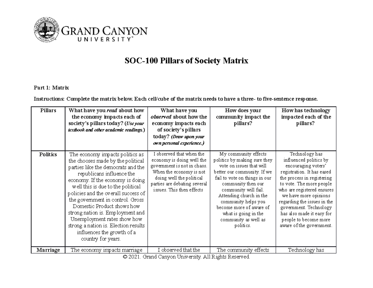 SOC-100 - Complete the matrix below. Each cell/cube of the matrix needs ...