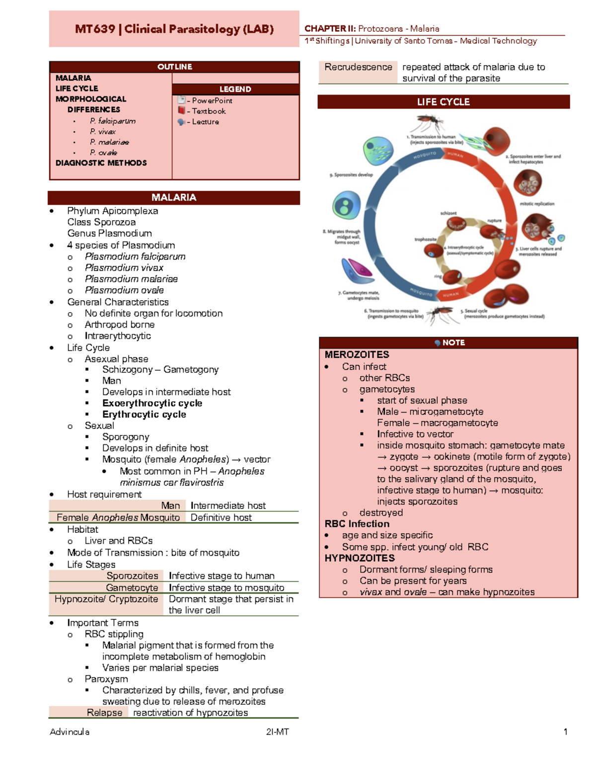 Parasitology - Plasmodium - Laboratory - MT639 | Clinical Parasitology ...