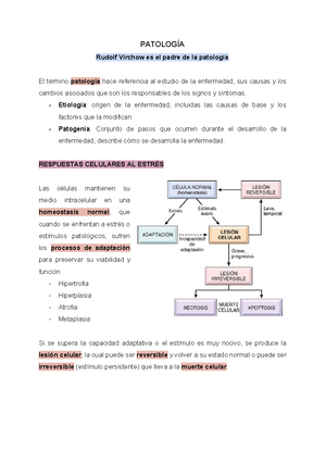 Tipos de necrosis - Necrosis: es una forma de muerte celular en la que ...