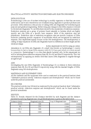 Example Report 1 Assessment Guide - Assessment guide Example Report 1 ...