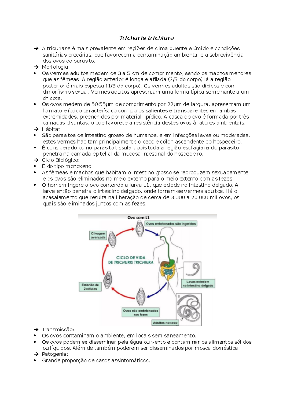Trichuris trichiura - Resumo Parasitologia humana - Trichuris trichiura ...