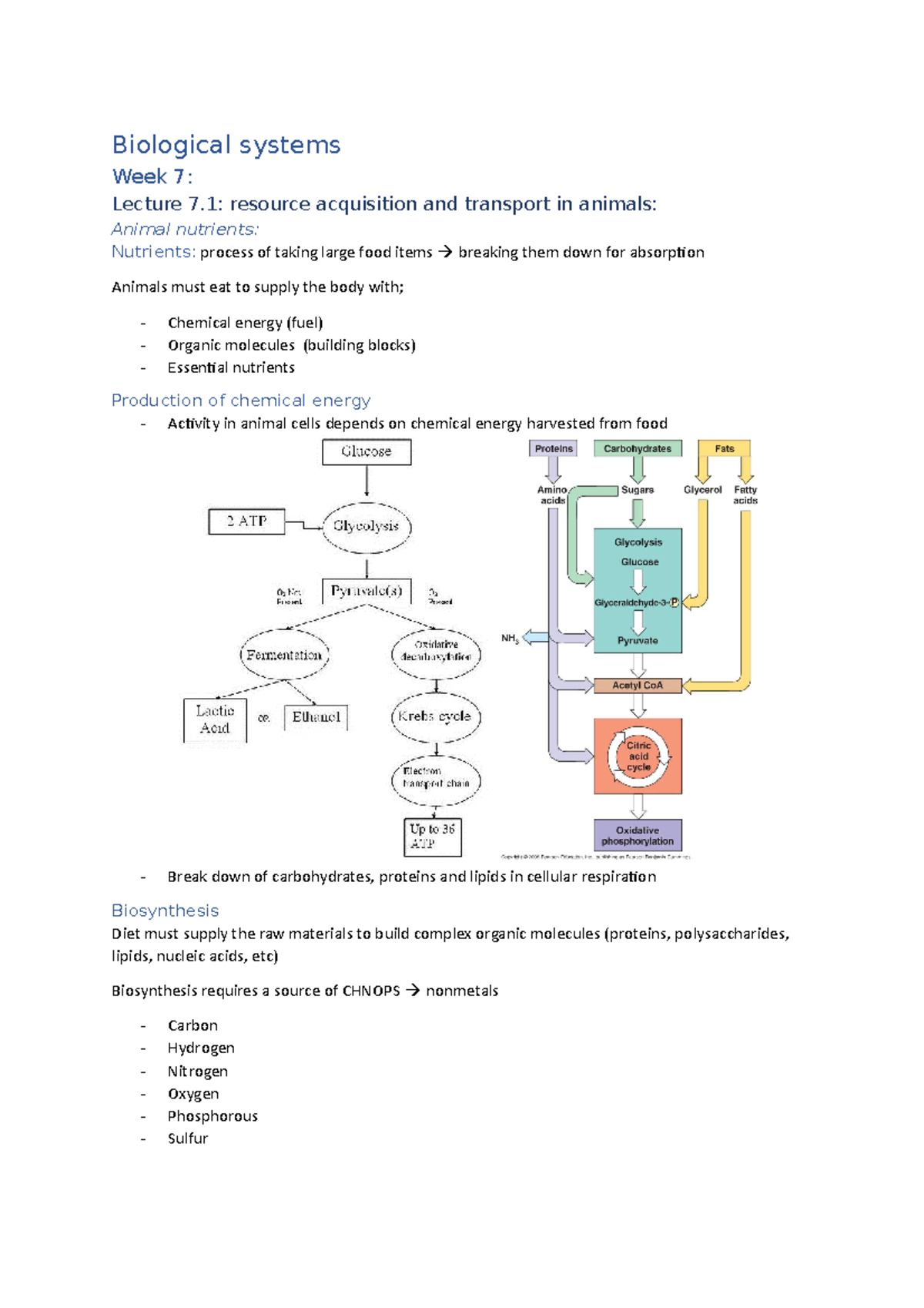 Biological systems Module 7.1 - Biological systems Week 7: Lecture 7 ...