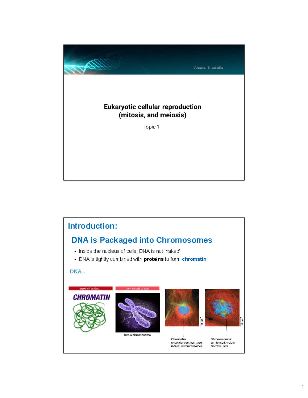 Topic 1 Notes - powerpoint slides - Introduction: DNA is Packaged into ...