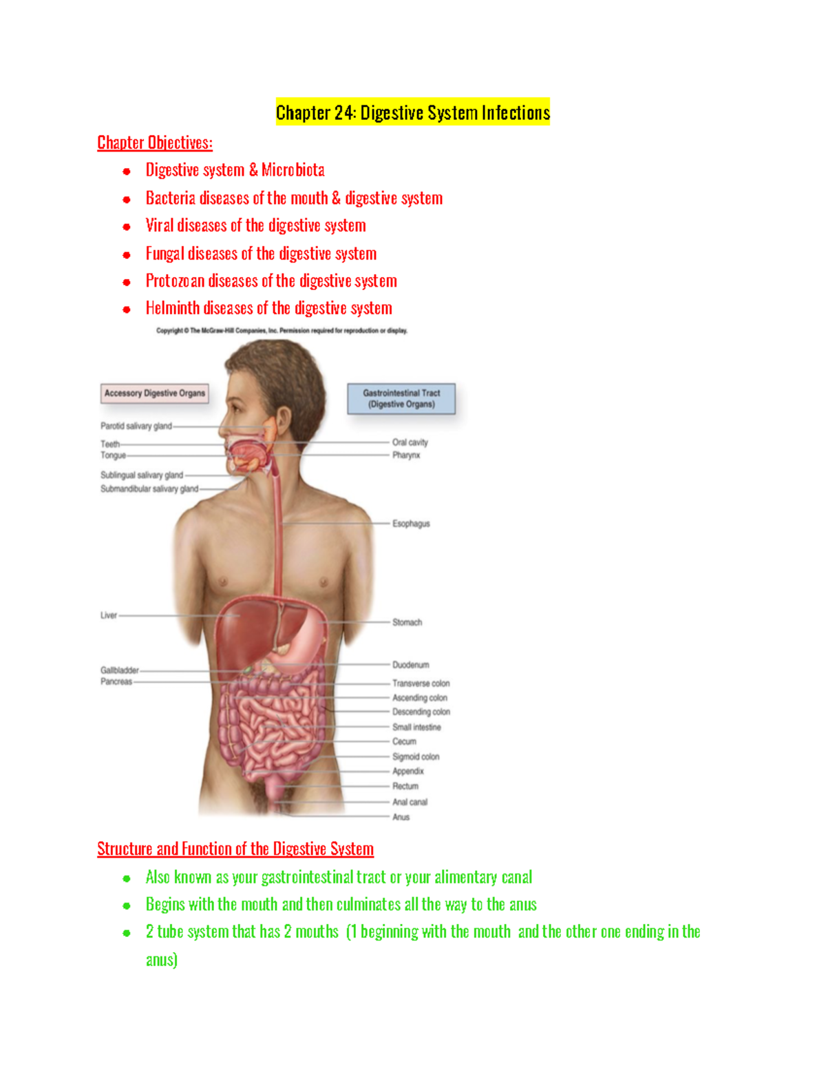 Chapter 24 - Chapter 24: Digestive System Infections Chapter Objectives: Digestive system ...