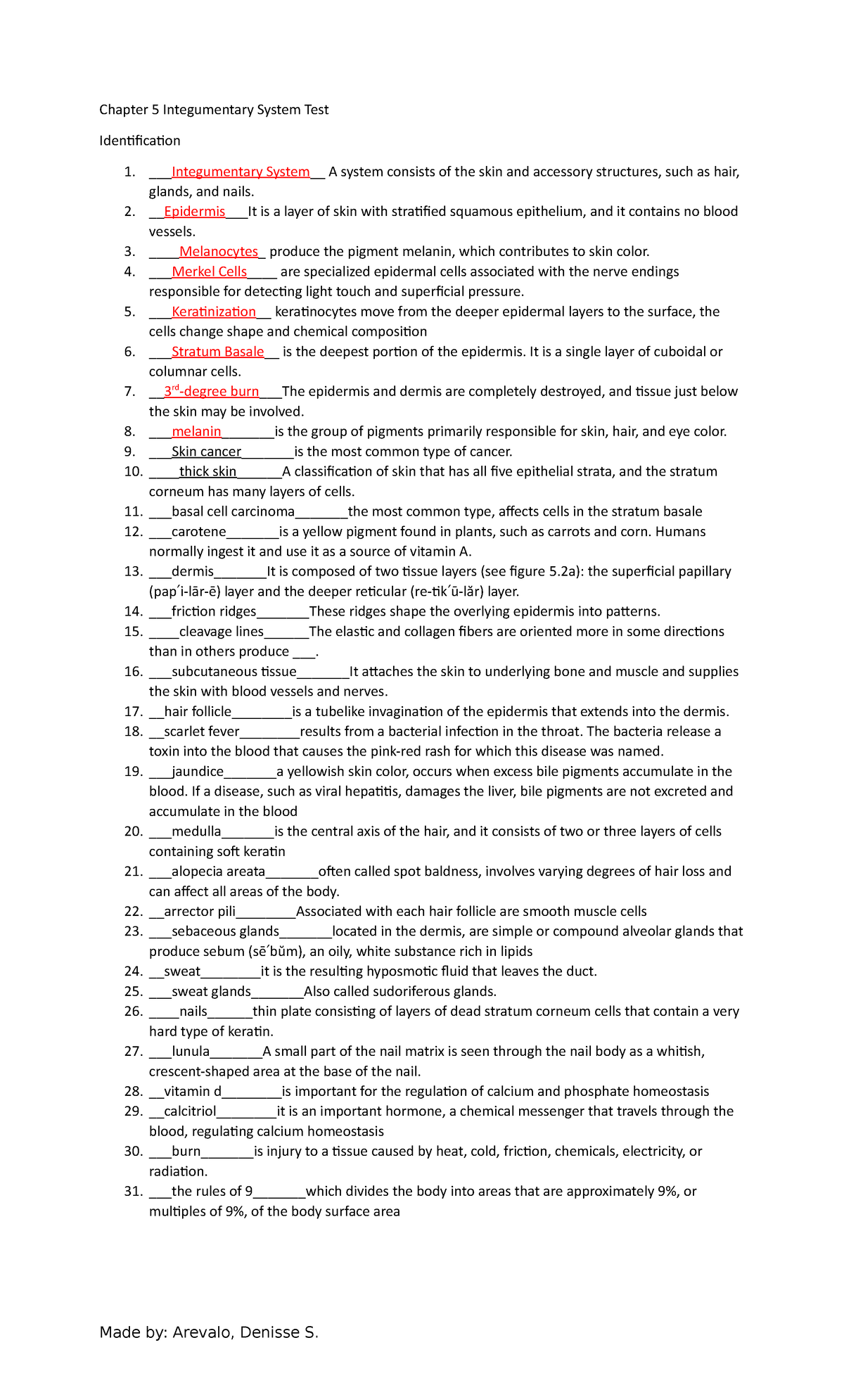 Anatomy and Physiology Chapter 5 Answer Key - Chapter 5 Integumentary ...