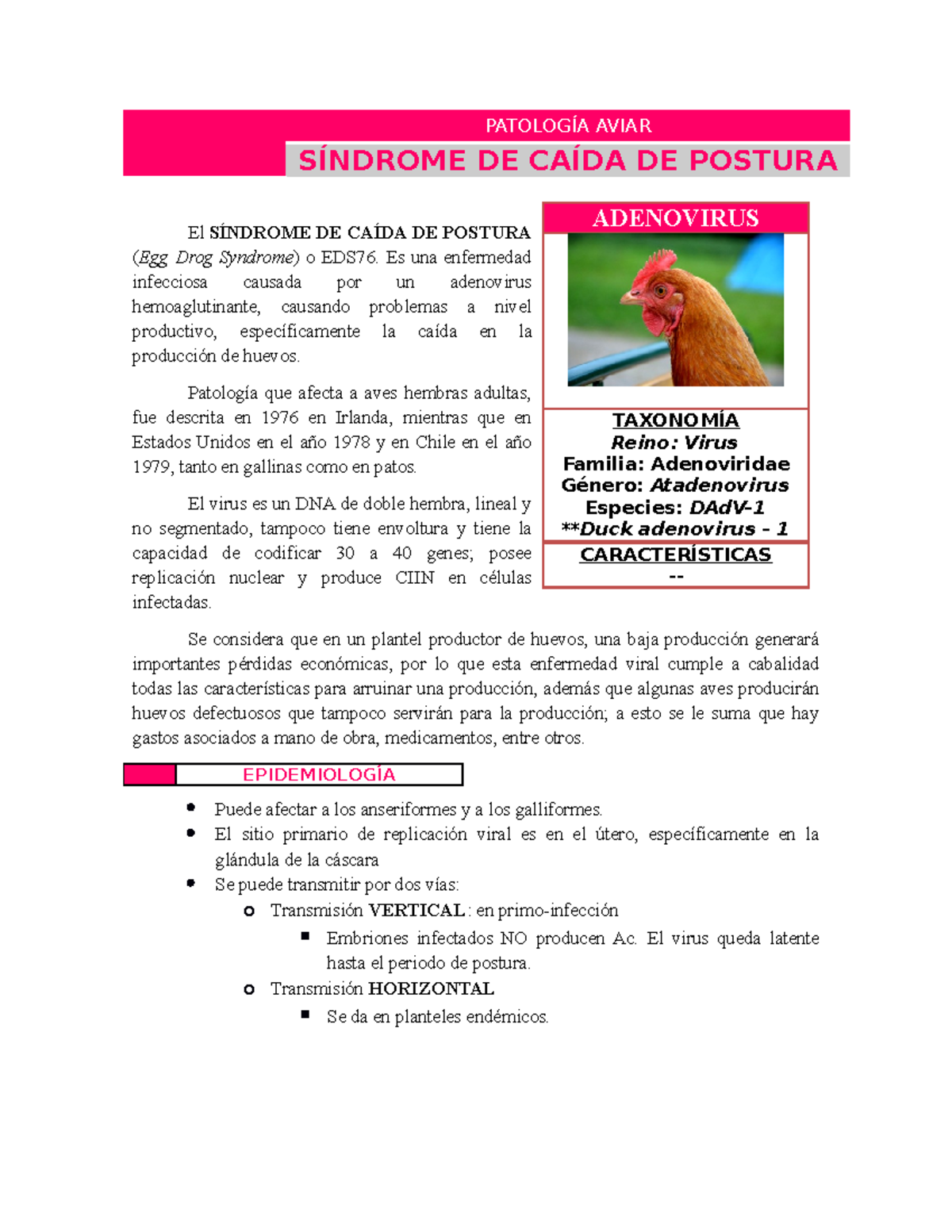 Sindrome Caida De Postura Aviar De De Postura El De De Postura Egg