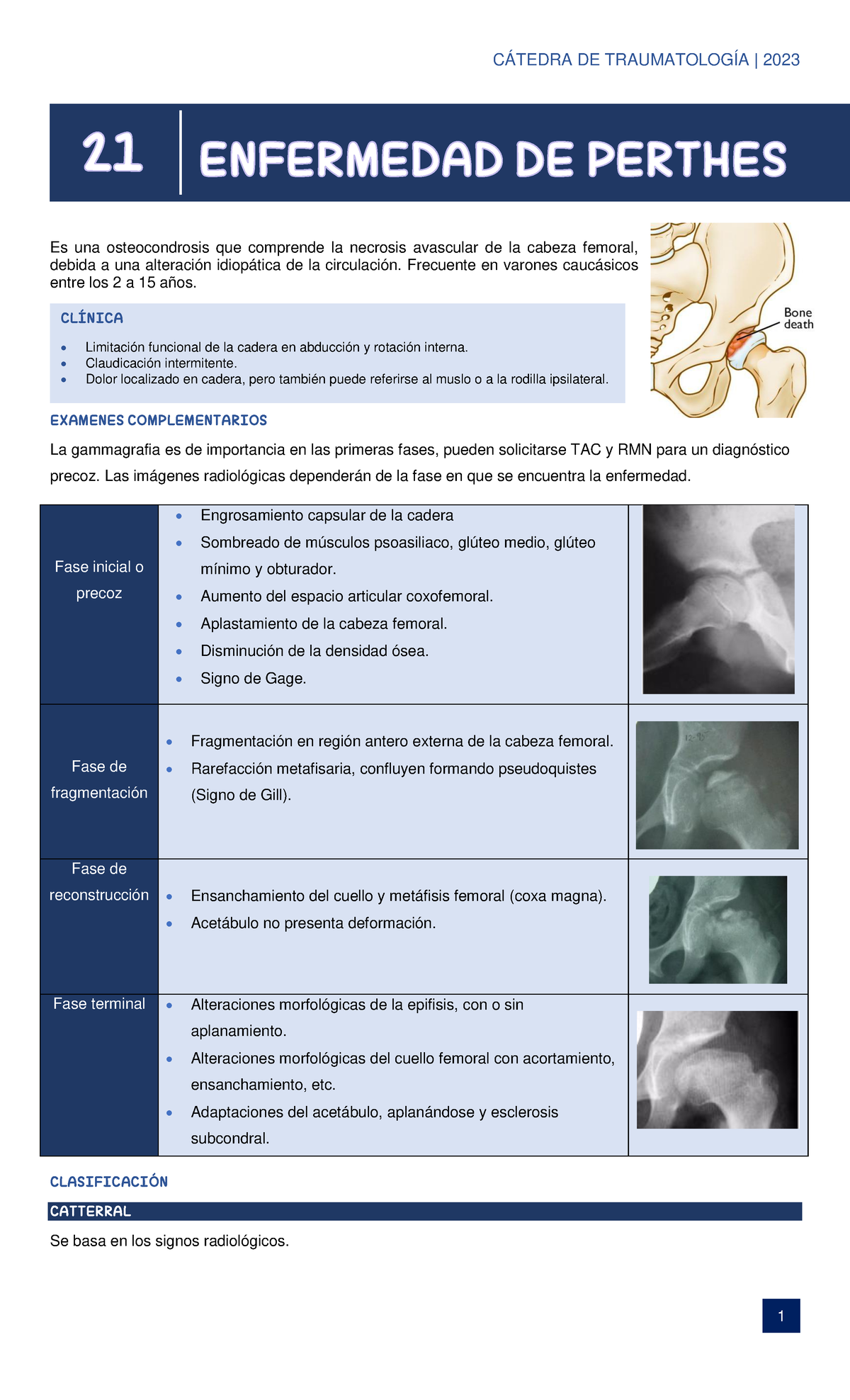Enfermedad DE Perthes - CÁTEDRA DE TRAUMATOLOGÍA | 2023 1 Es una ...