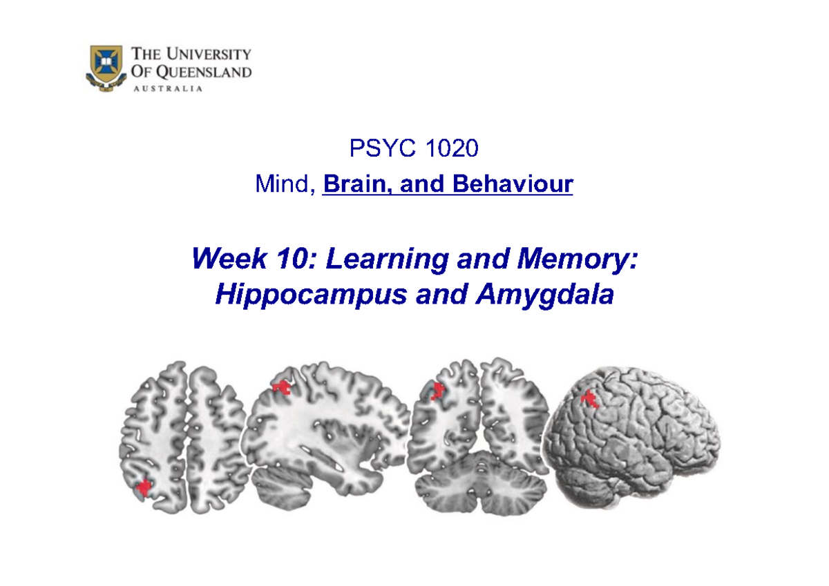 Week 10 Learning Memory - PSYC 1020 Mind, Brain, and Behaviour Week 10: Learning and Memory ...