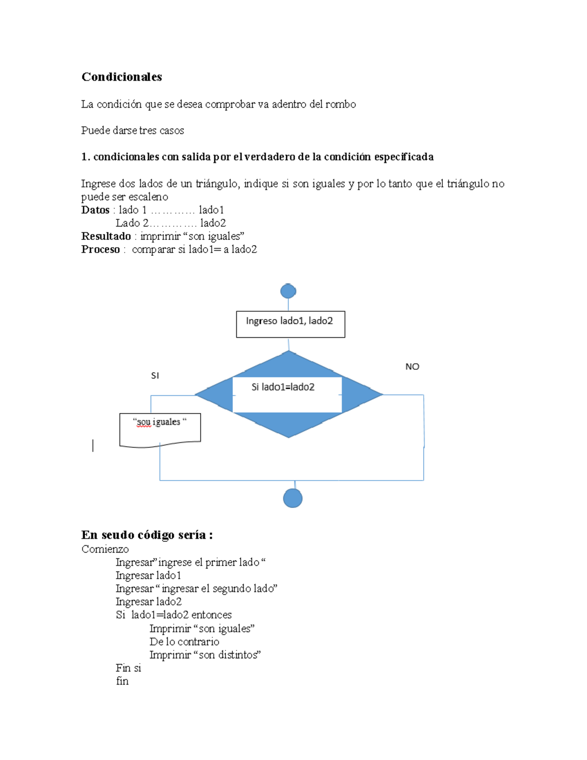 Condicionales programacion estructurada año 2021 - Condicionales La ...