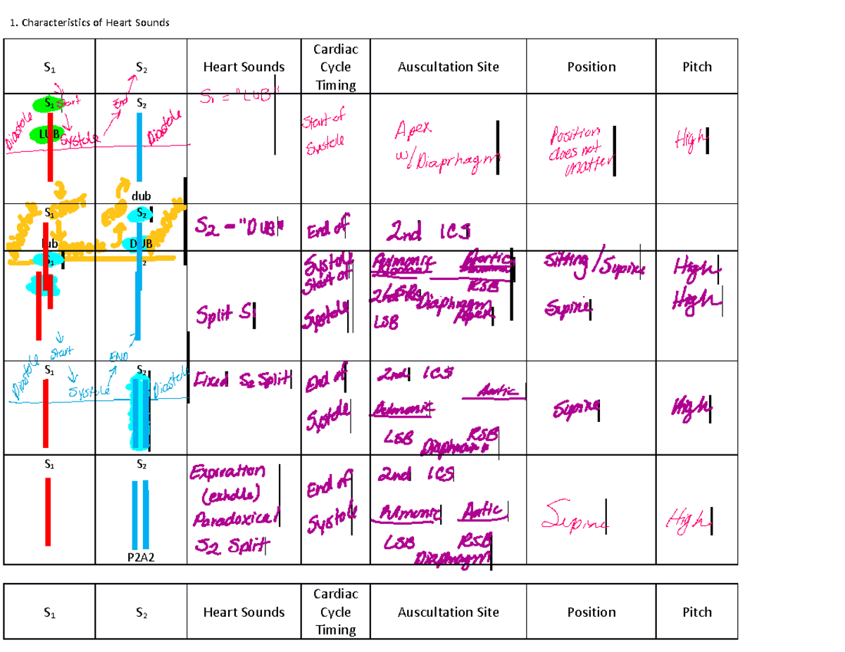 Cardiac Tables Practice - 1. Characteristics of Heart Sounds S 1 S 2 ...