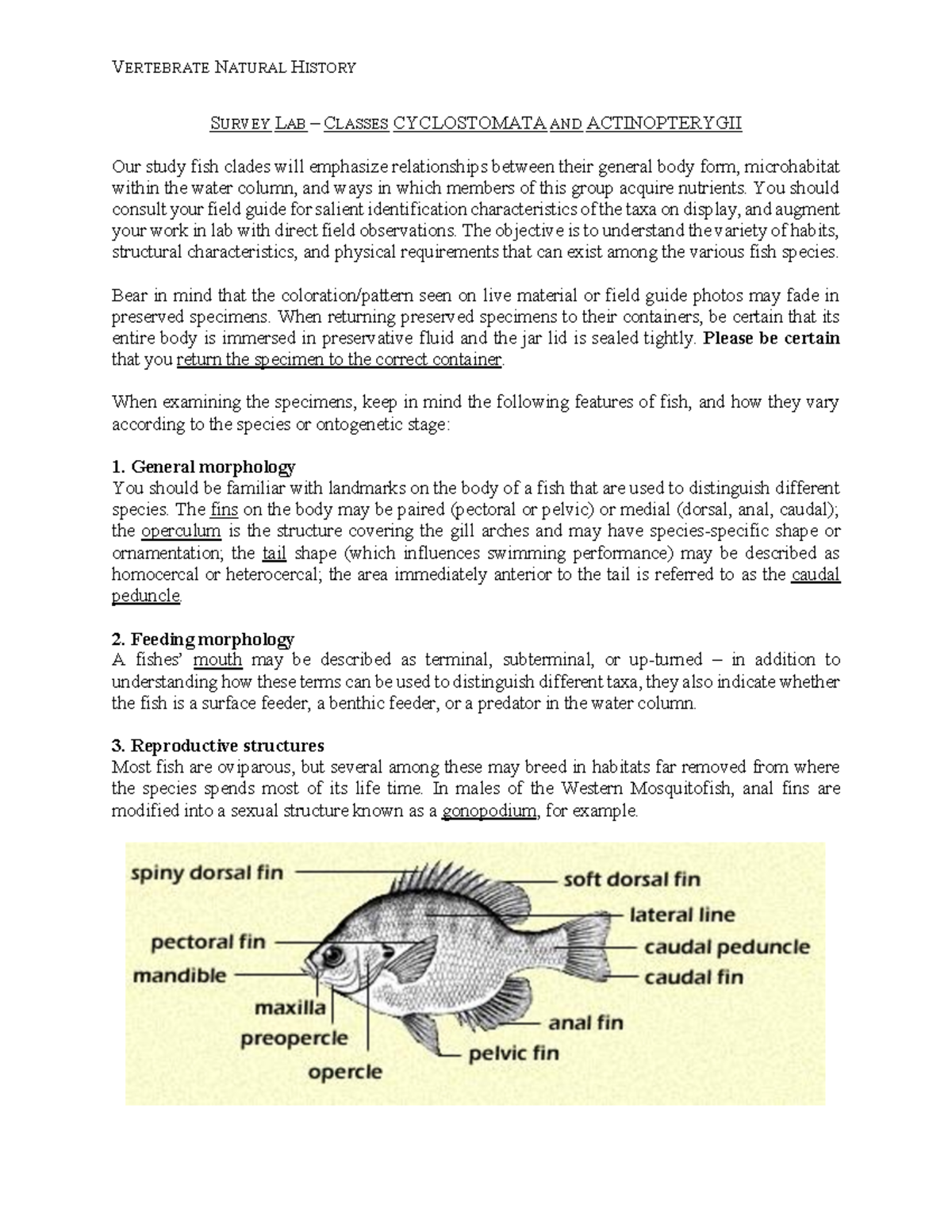 FORS2355 Lab 2 Fish - Lecture notes 2 - SURVEY LAB – CLASSES ...