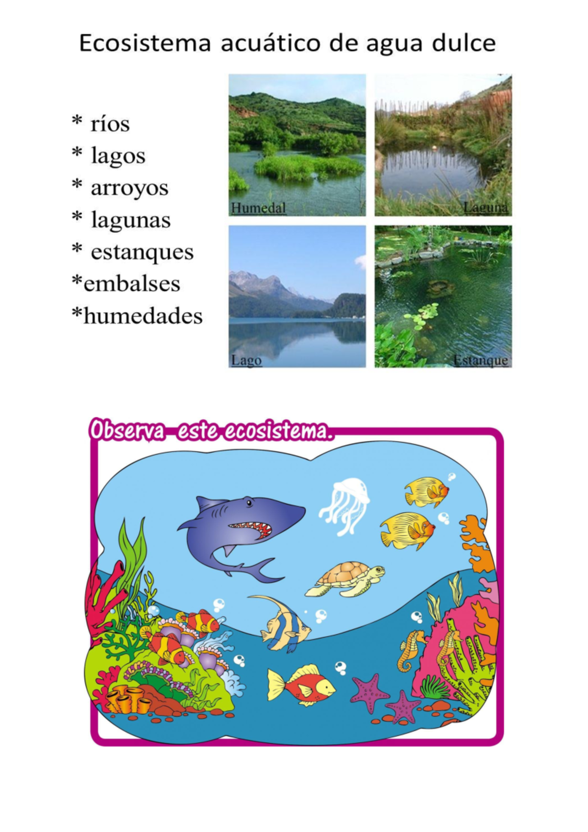 Tipos de aguas - Jdjdn - Solución - Caso 2 - trabajo de investigacion ...