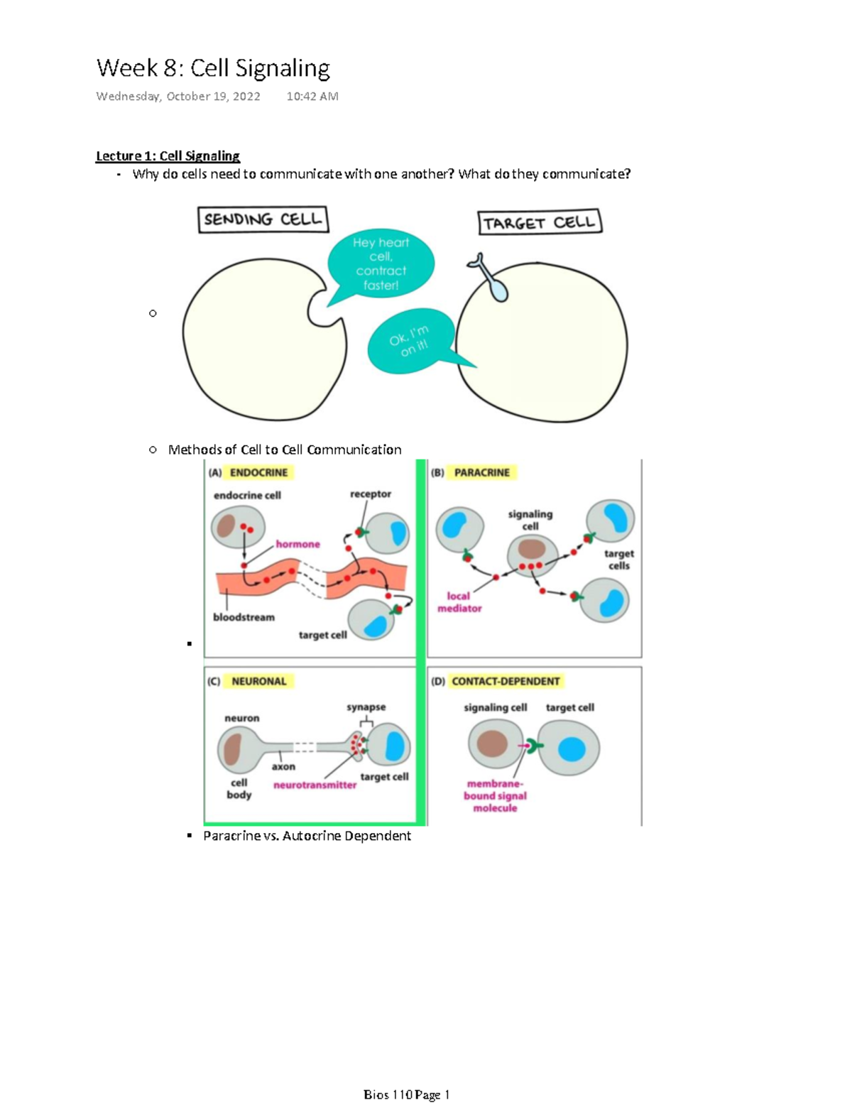 Bios 110 Week 8 pt 2 - Bios 110 Cells and Organism Notes - Lecture 1 ...