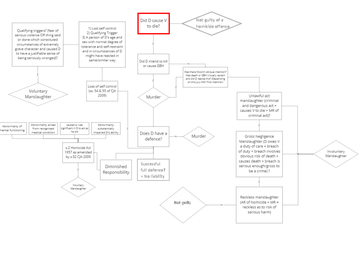 Homicide-flowchart - Homicide Flowchart - LAW5005 - Successful full ...