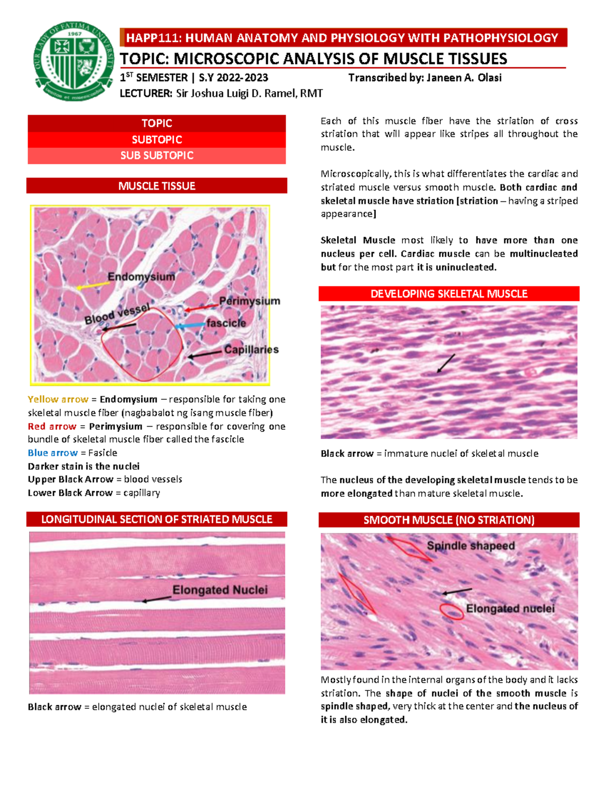 HAPP111 Lesson 2 Microscopic Analysis OF Muscle Tissues - Copy - TOPIC ...