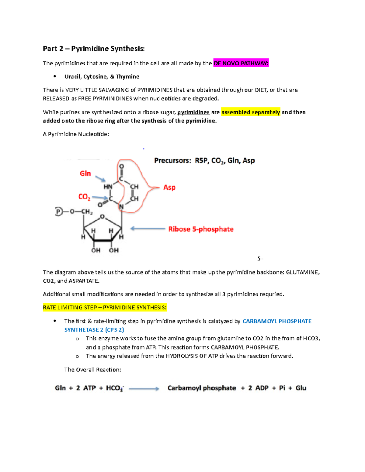 Module 13- Nucleotide Metabolism Pyrimidines - Part 2 – Pyrimidine ...