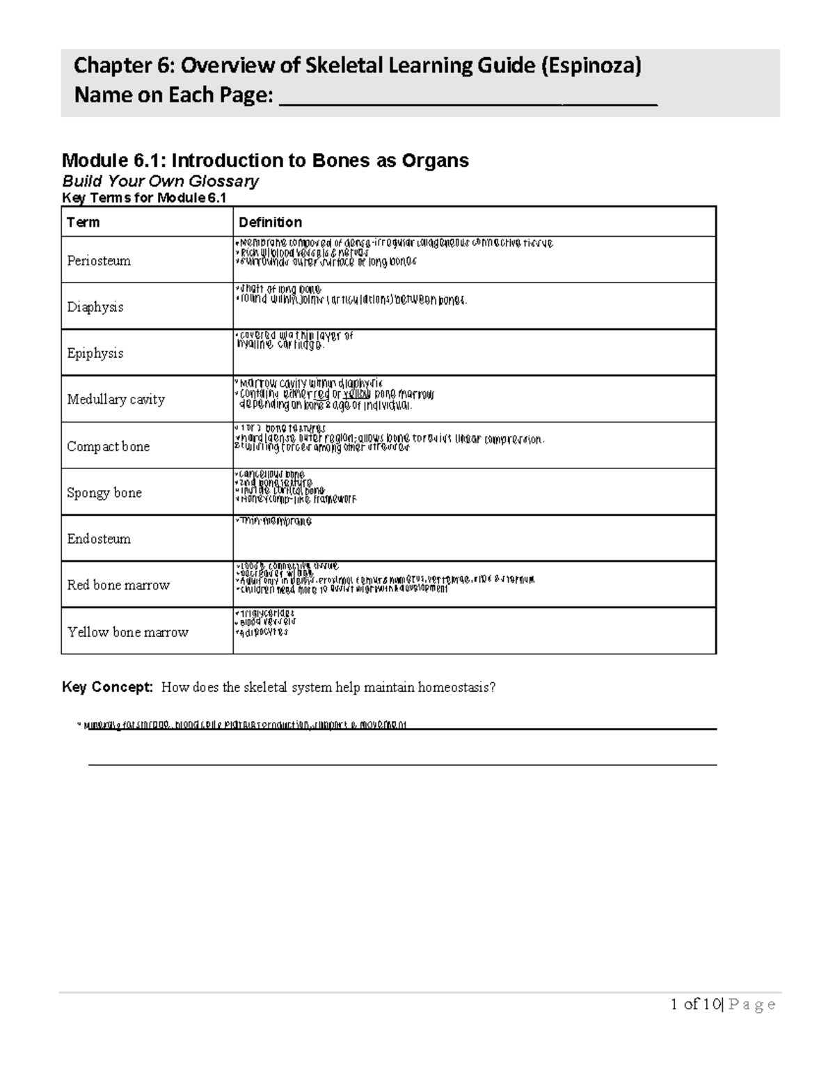 Chapter 6 Lecture Notes Chapter 6 Overview Of Skeletal System