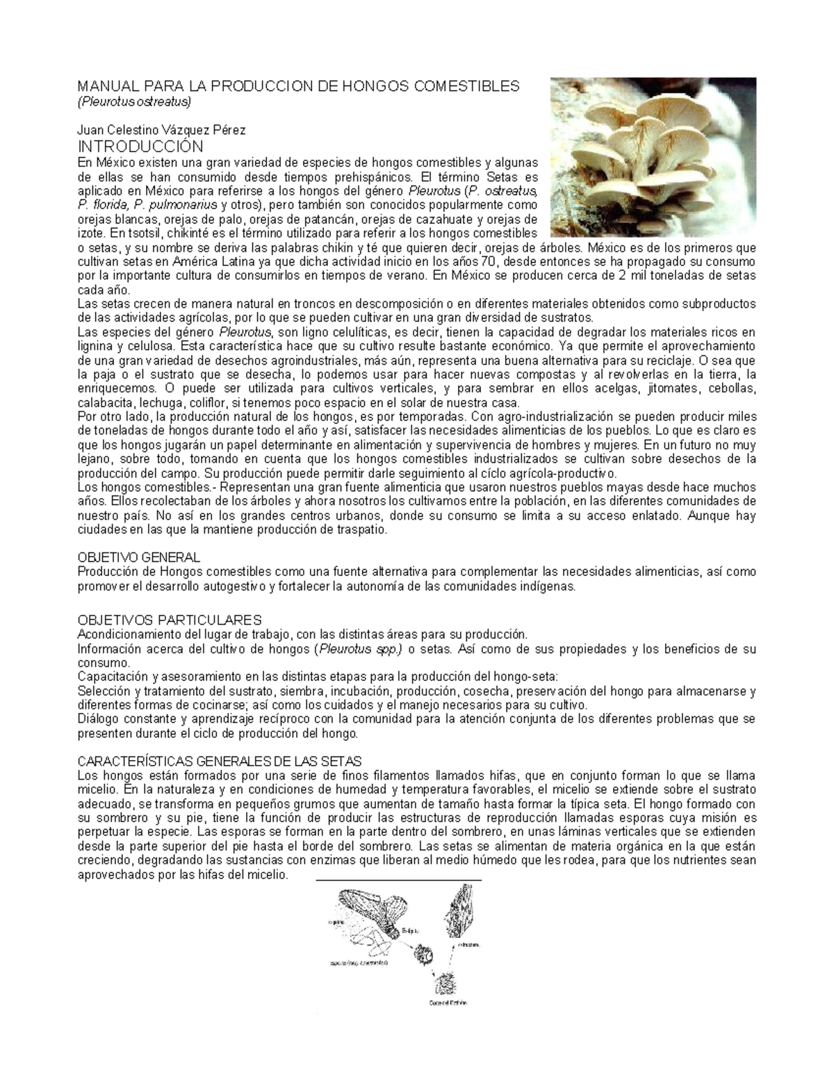 Hongo SETA - COSECHA - MANUAL PARA LA PRODUCCION DE HONGOS COMESTIBLES ...