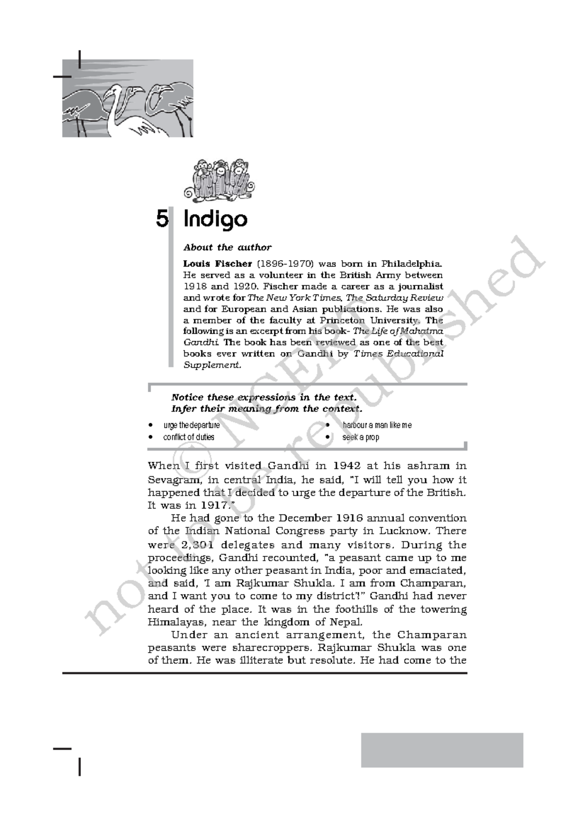 Indigo - 46/Flamingo IndigoIndigo IndigoIndigoIndigo About the author ...