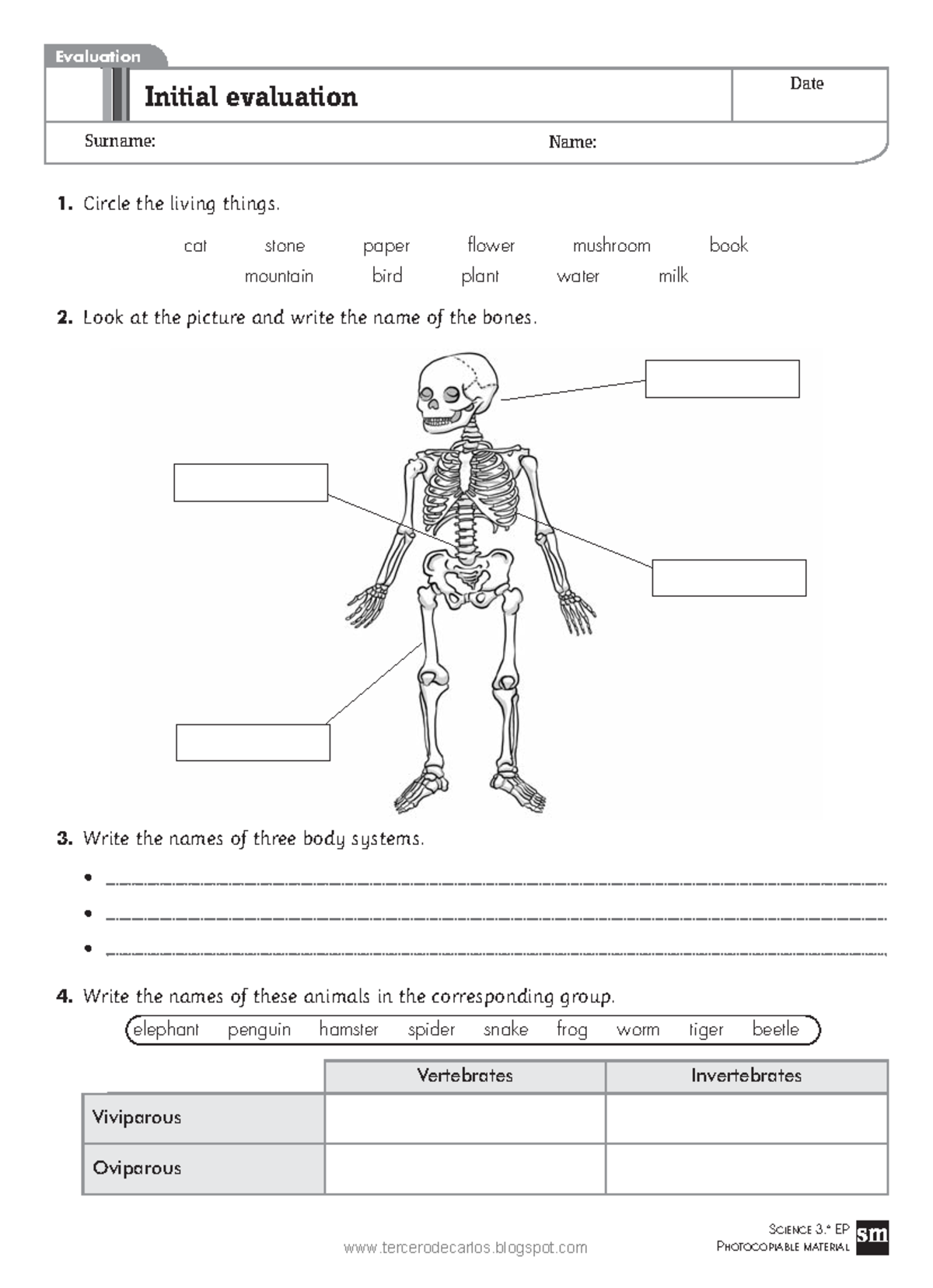 Exámenes de la editorial SM para tercero de primaria de la asignatura ...