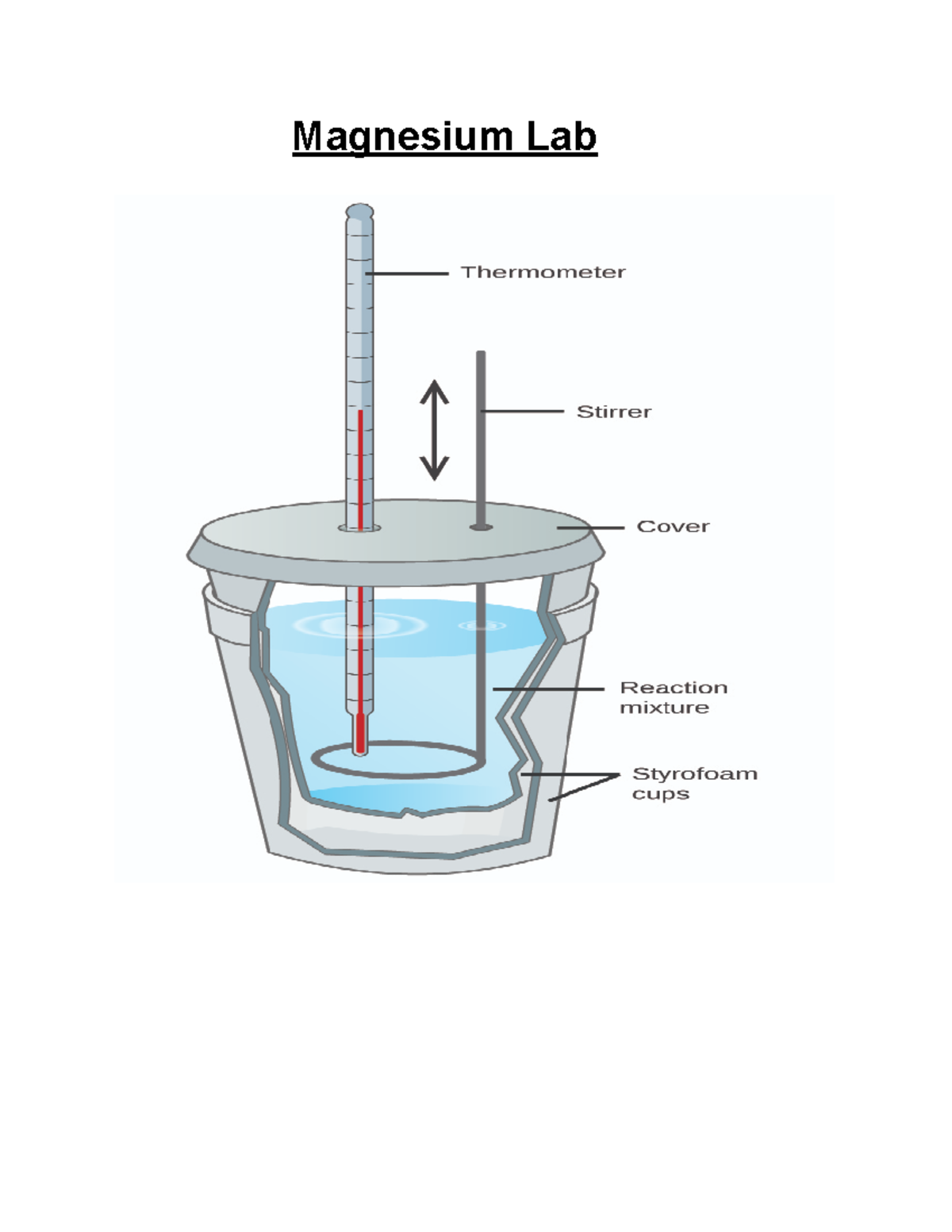 Magnesium Lab - Magnesium Lab Introduction: In this lab, one of the ...