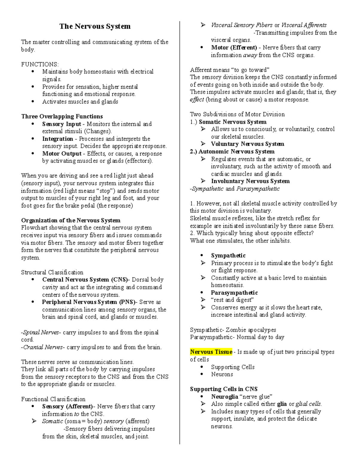 The Nervous System Lecture Notes - The Nervous System The master ...