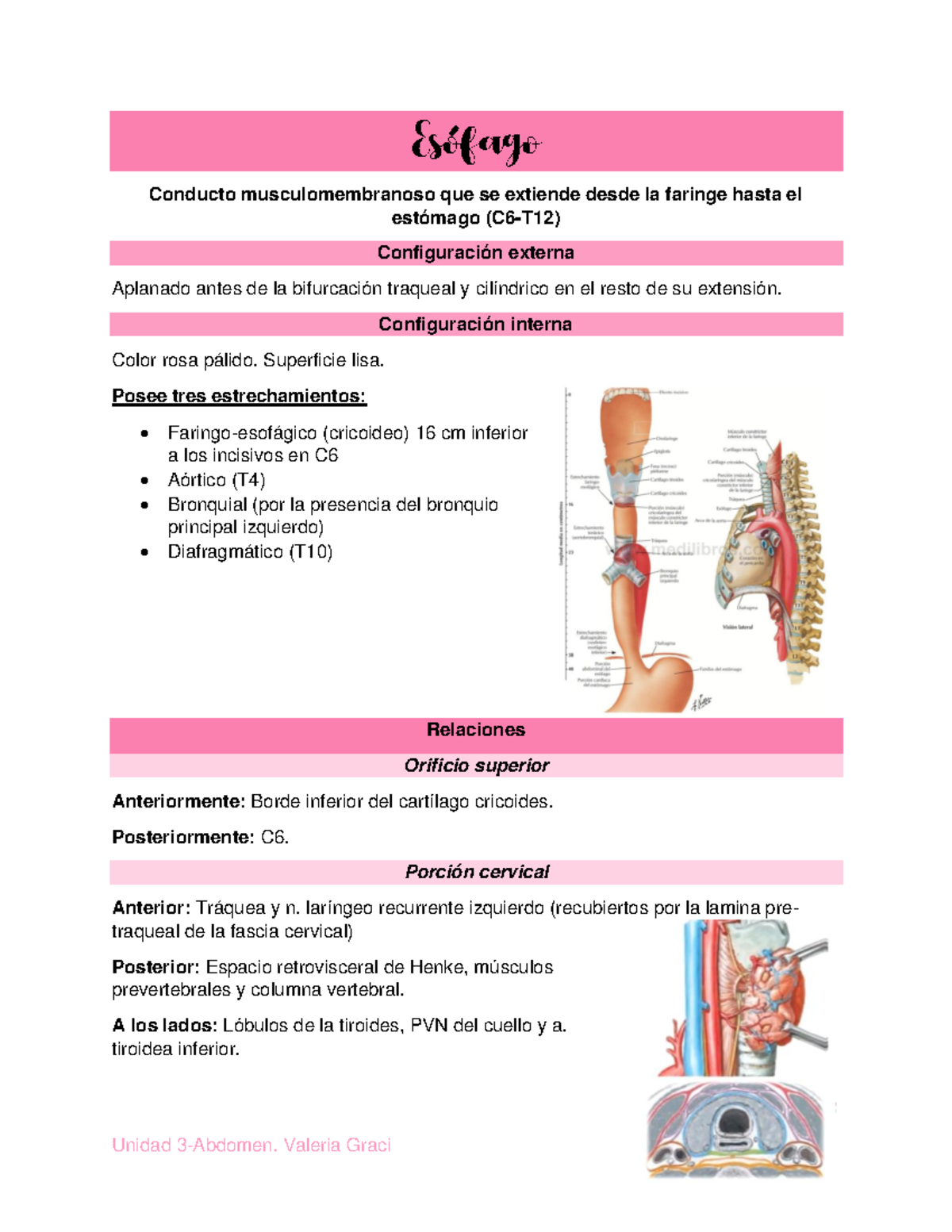 1- Esófago- Valeria Graci - Unidad 3-Abdomen. Valeria Graci Conducto ...