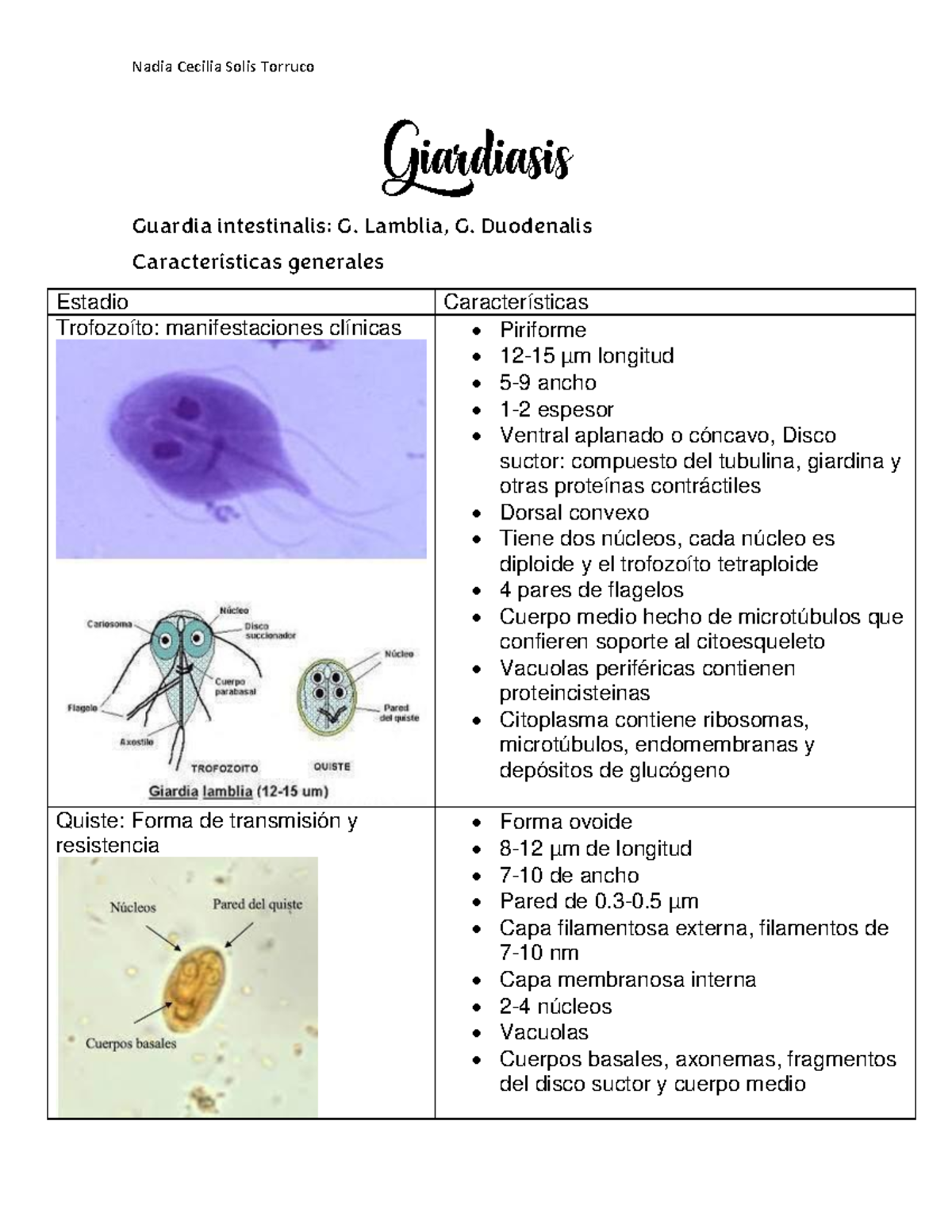 Giardia L - Resumen de parásitos del intestino delgado - Parasitologia ...