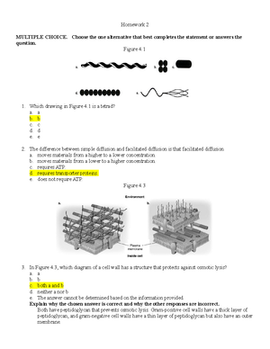Morphological Unknown Lab Report - Truong Luong Professor Dalmet ...