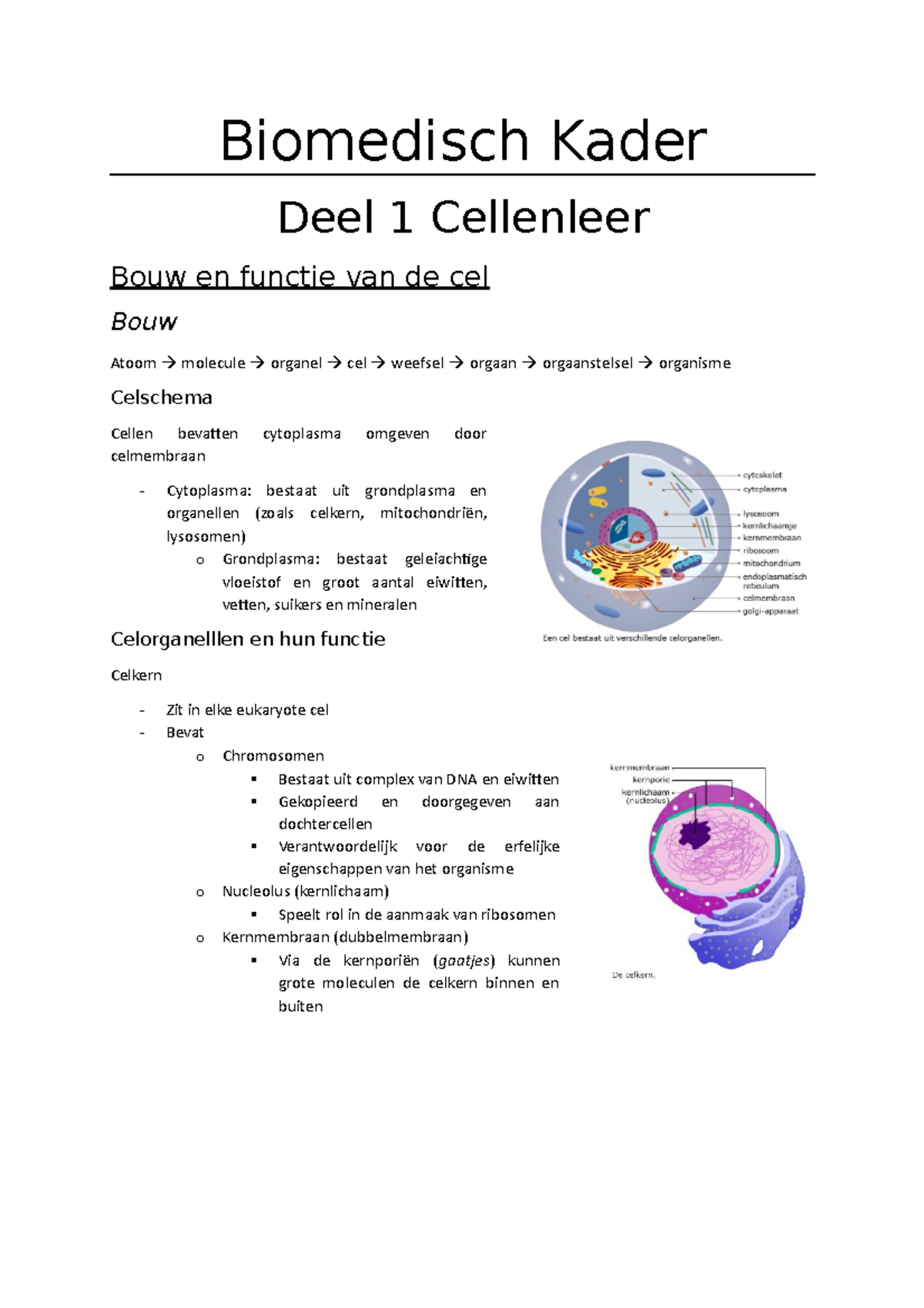 Biomedisch kader - Biomedisch Kader Deel 1 Cellenleer Bouw en functie ...