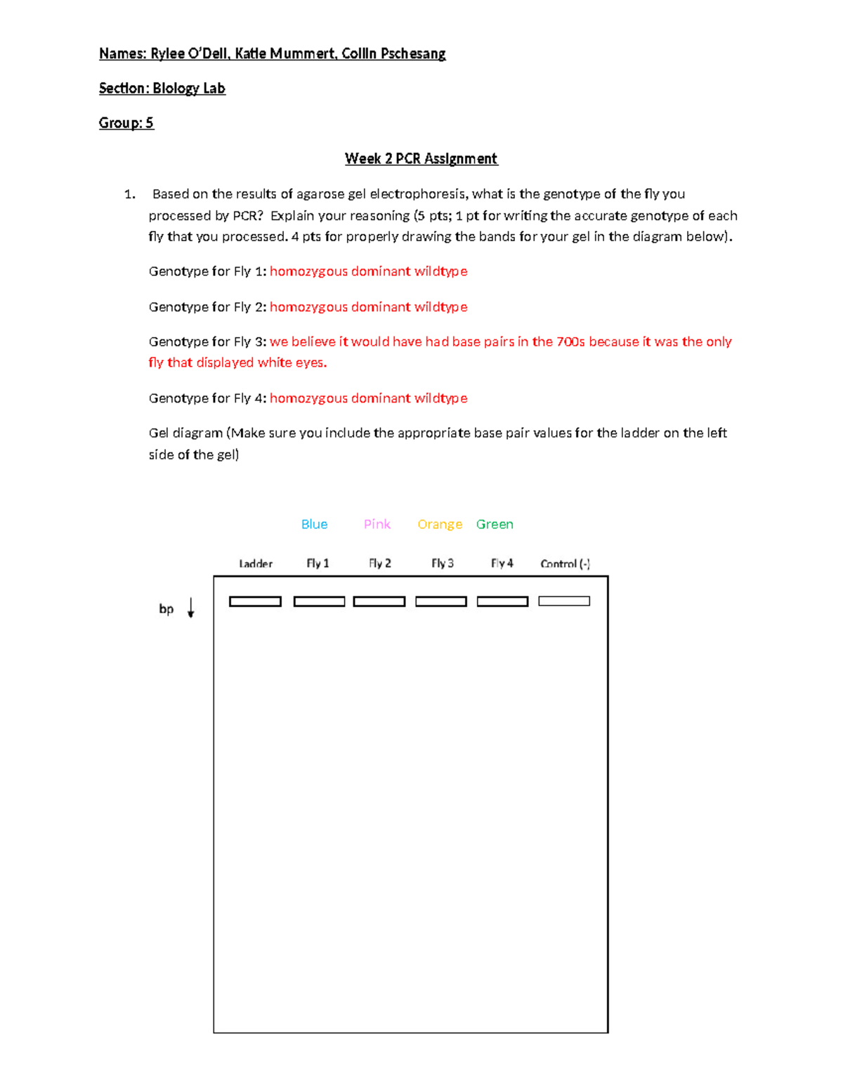 Week 2 PCR Assignment 22SS 1 - Names: Rylee O’Dell, Katie Mummert ...