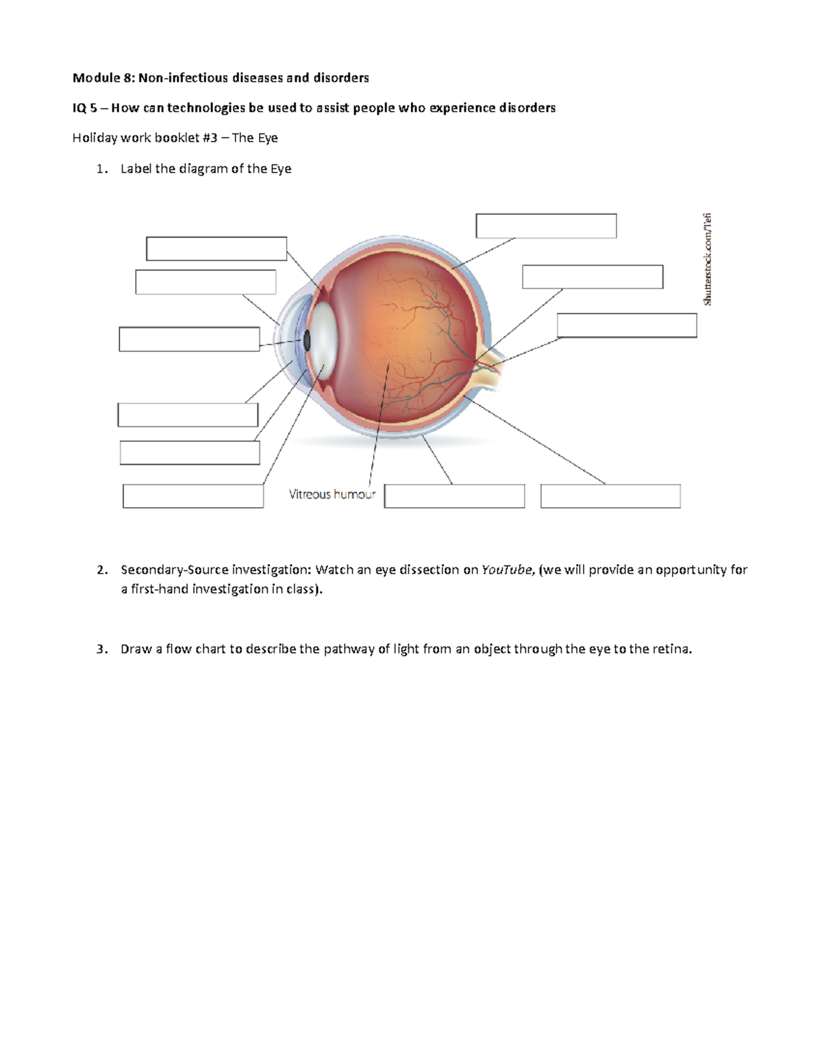 Module 8 IQ 5 - Eye - Module 8: Non-infectious diseases and disorders ...