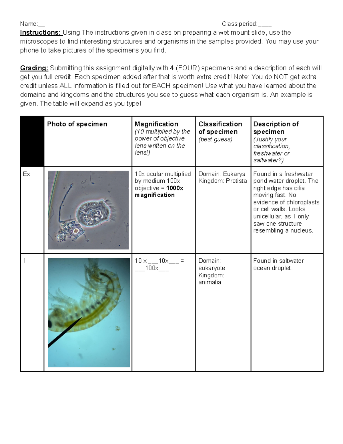 Copy of Post EOC Microscope Assignment - Instructions: Using The ...