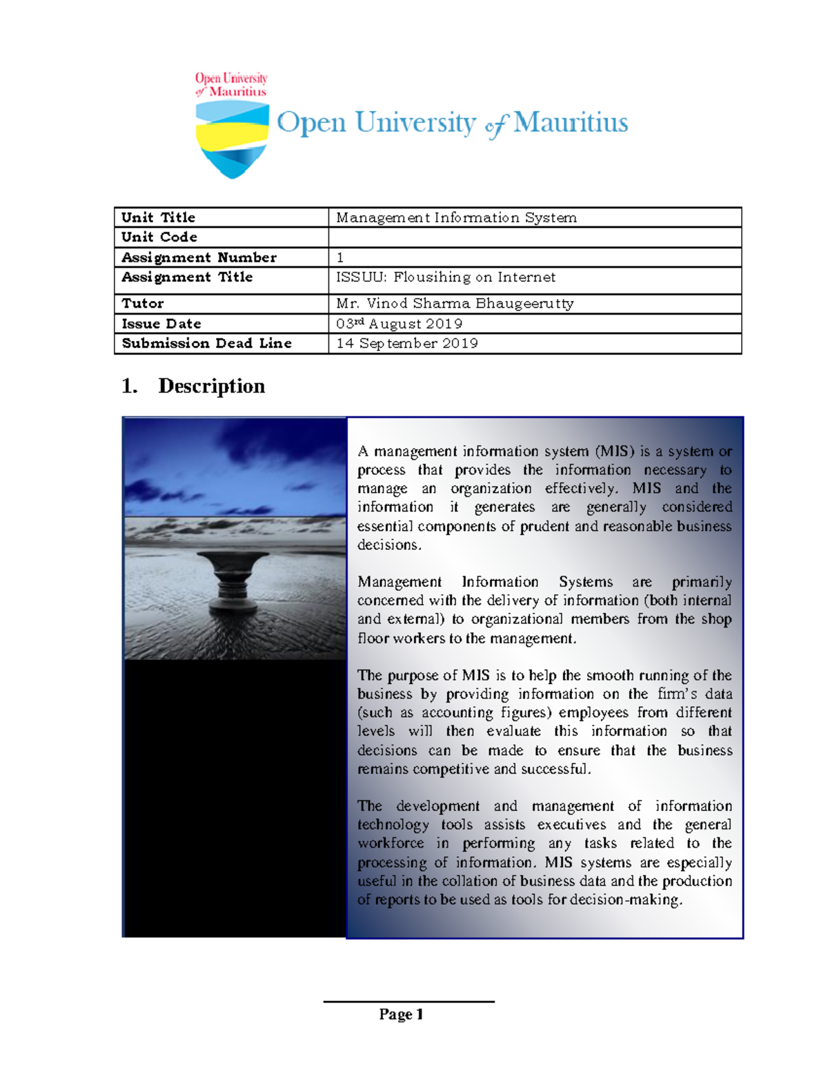 Assignment MIS - 1. Description Unit Title Management Information ...