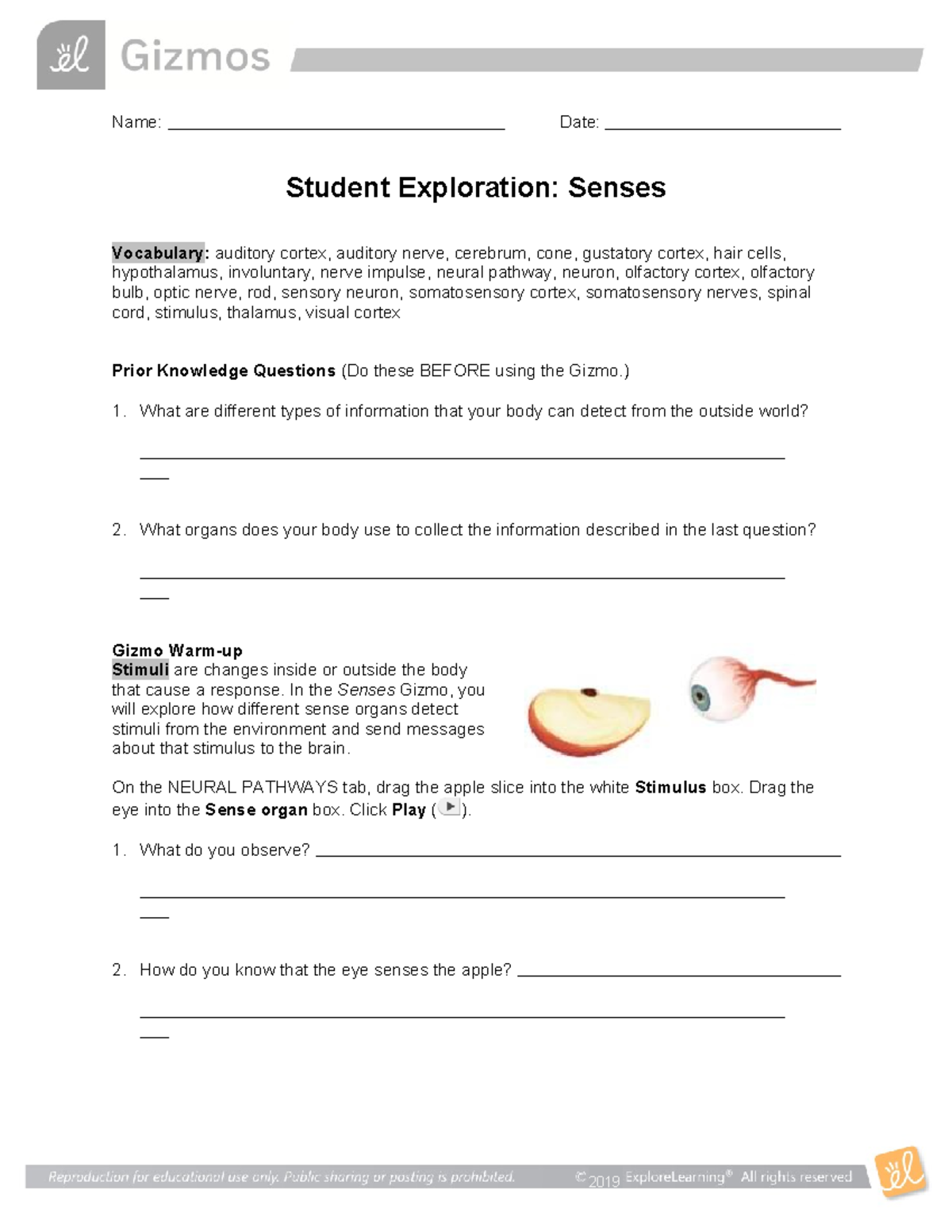 Senses human anatomy - Name: Date: Student Exploration: Senses ...
