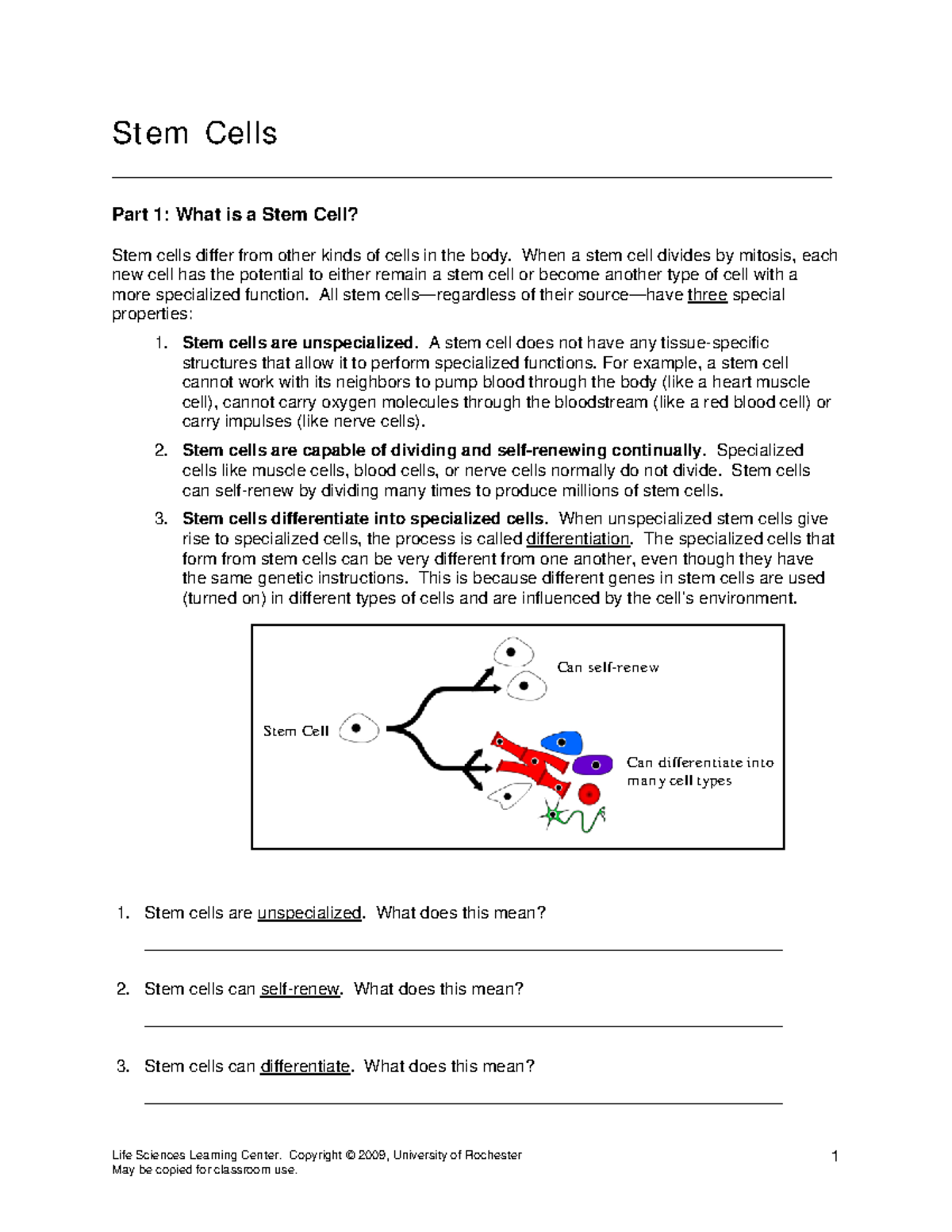 Stem Cells Test-trang-1-3 - Life Sciences Learning Center. Copyright ...