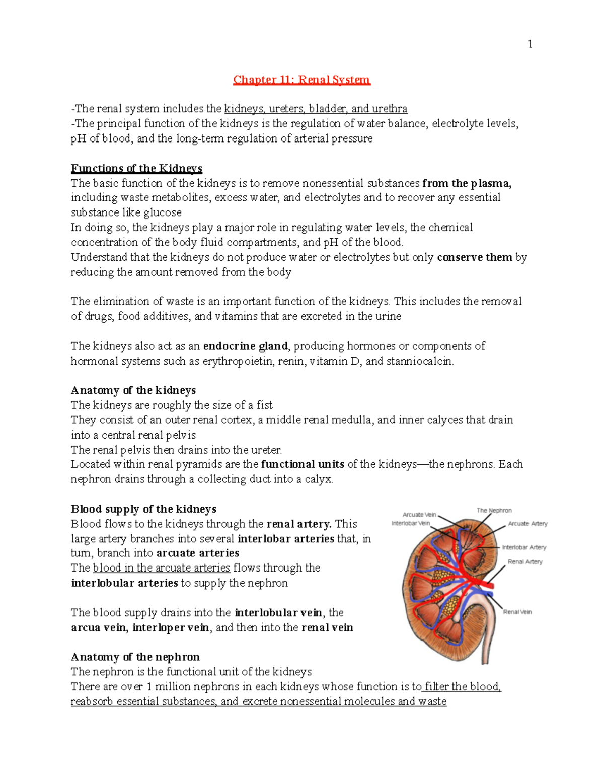 Chapter 11 Physiology 2130 - PHYS 2130 - UWO - Studocu